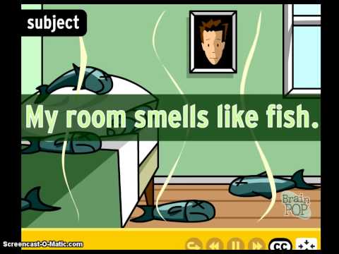 Subjects And Predicates Youtube