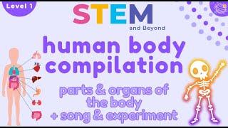 рџ рџ ґ The Human Body For Kids рџ рџ ќрџџ вђќв пёџ Compilation Of 1 Hours Videos For Kids