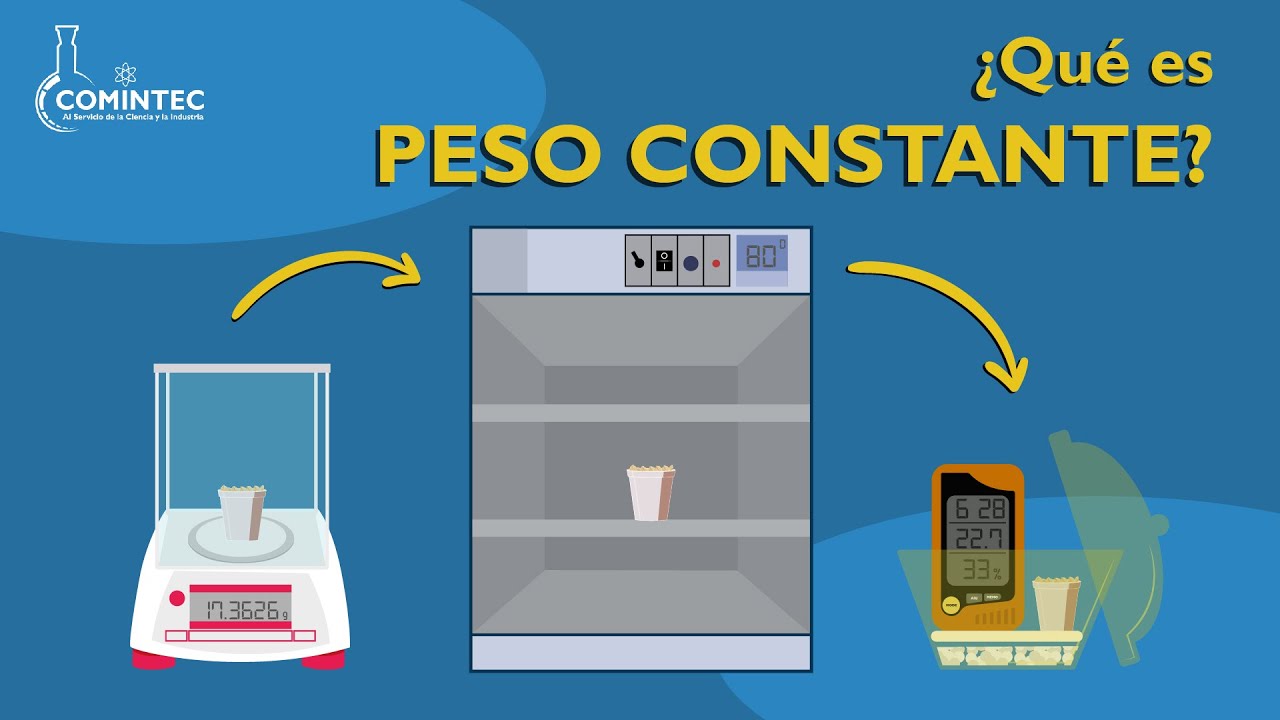 Qué Es El Peso Constante Youtube