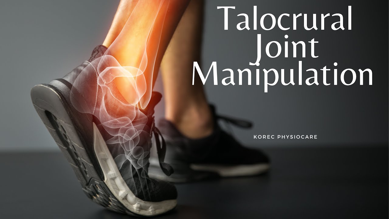 Talocrural Joint Manipulation Hvt Youtube