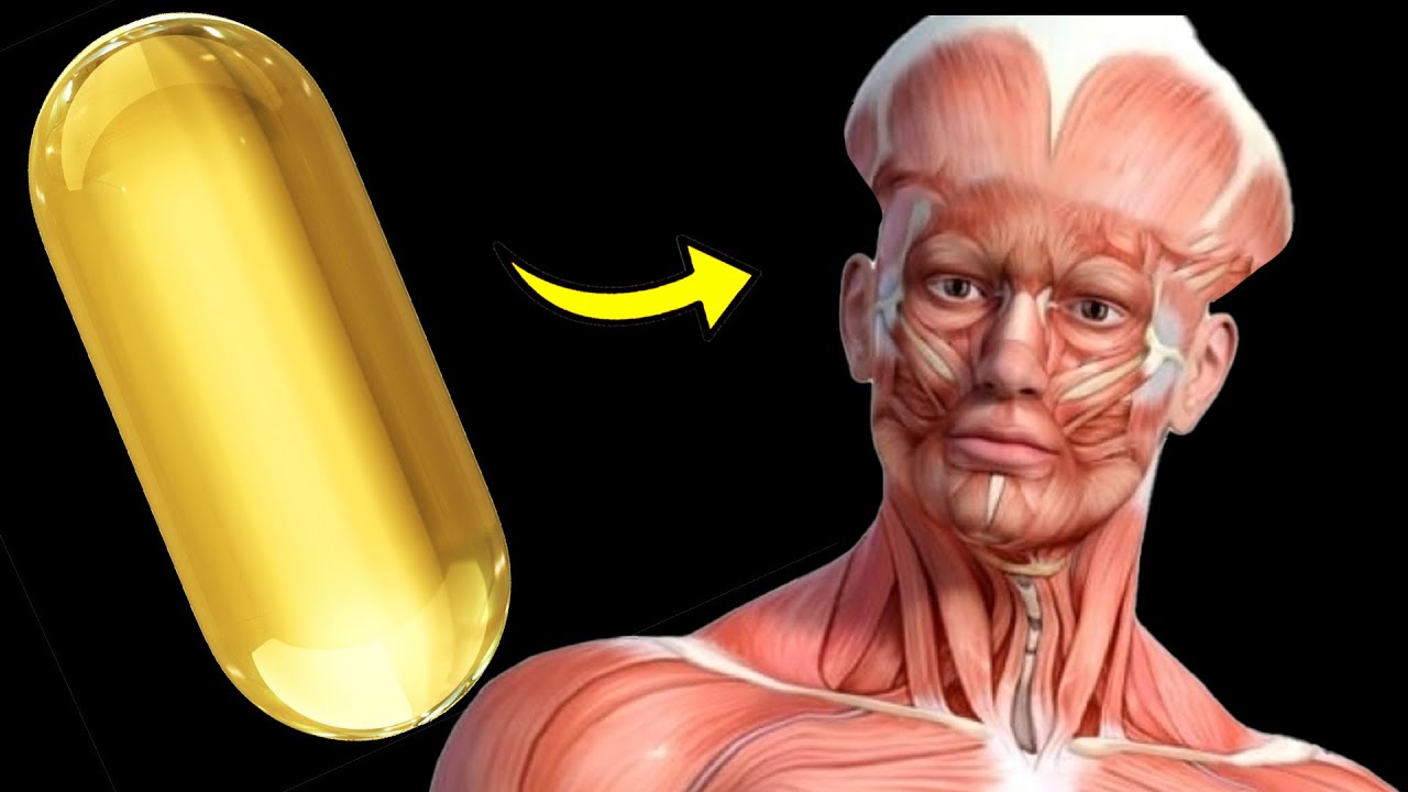 What Happens When You Take Fish Oil Everyday Housepetscare