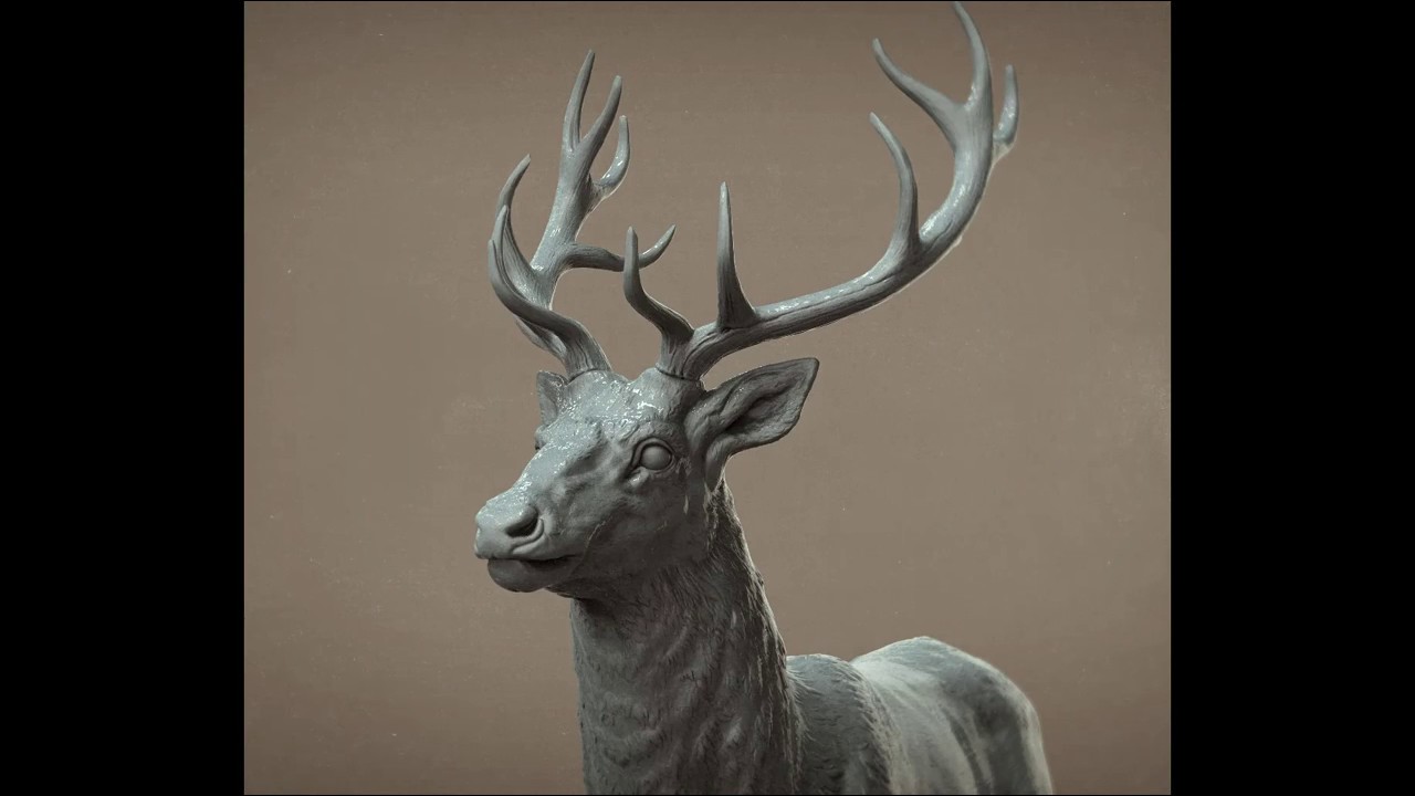 Deer Zbrush Sculpt Timelapse Youtube