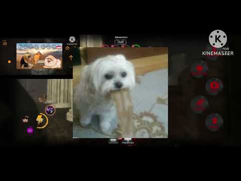 Video Promedio De Octaboy Youtube