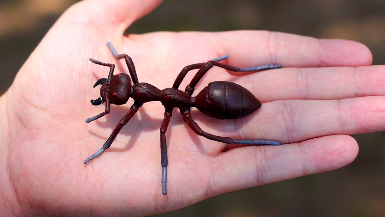 Gigantic Ant Youtube