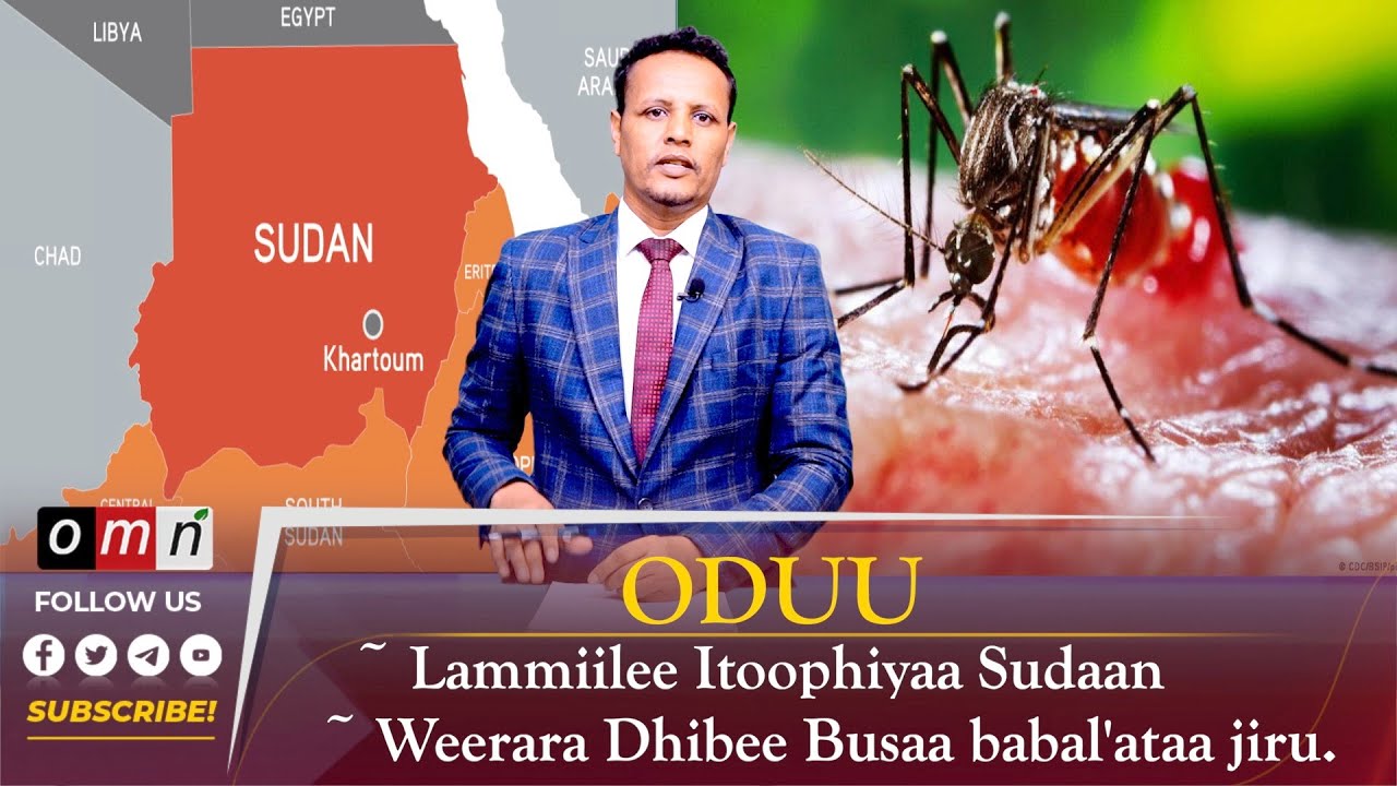 Omn Oduu Onk 24 2023 Youtube