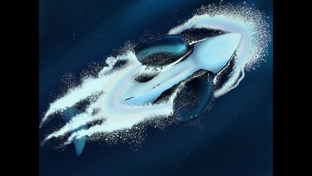 Orca Speedpainting Procreate Timelapse Youtube