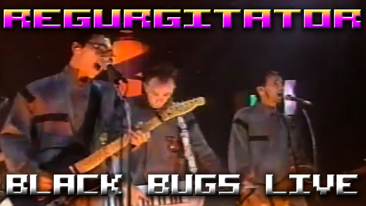 Regurgitator Black Bugs Live With Lyrics Youtube