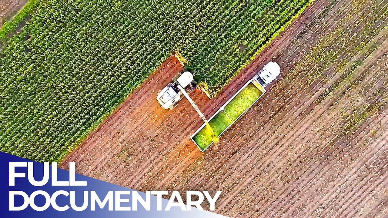 Agricultural Landmarks Technologies To Feed The World Fd Engineering