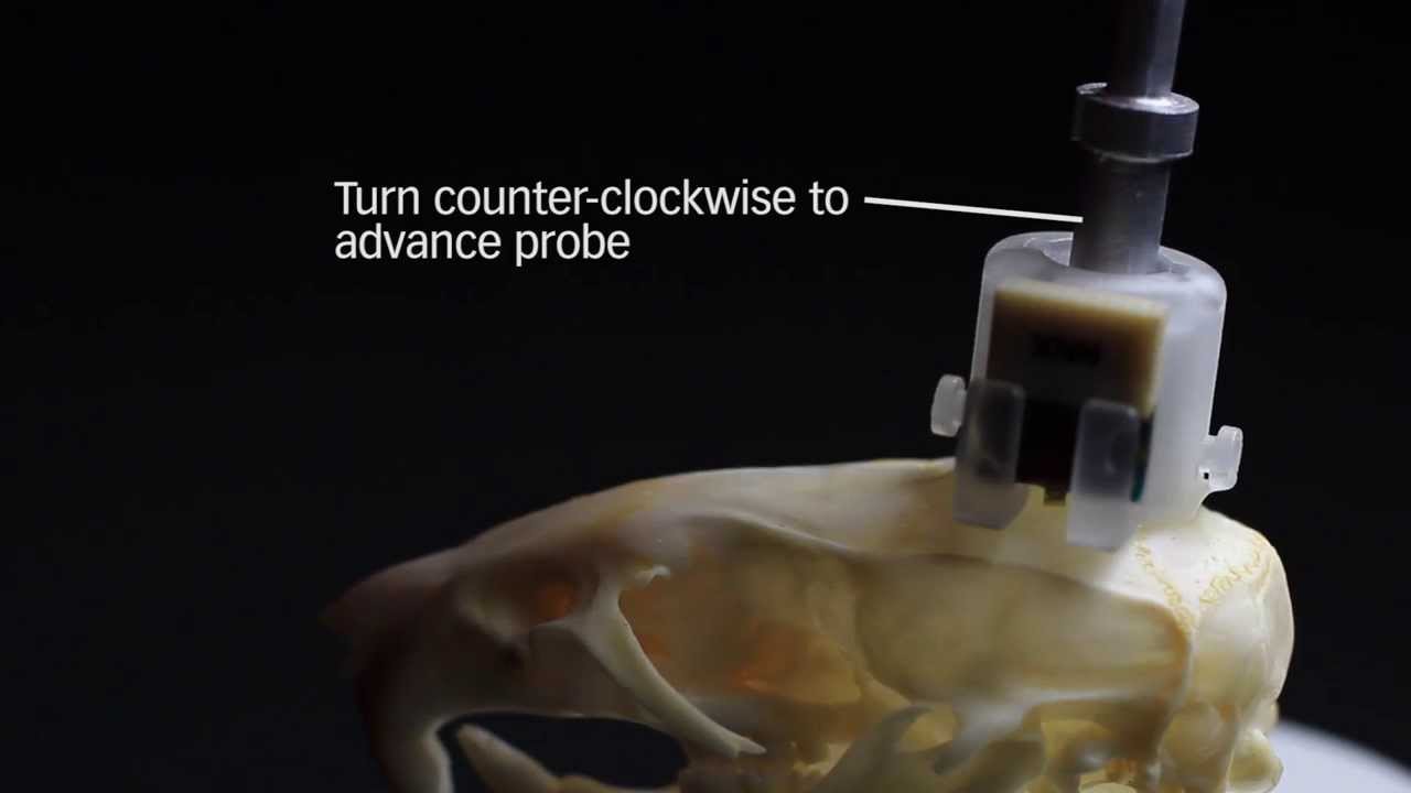 Ddrive Chronic Microdrive Youtube