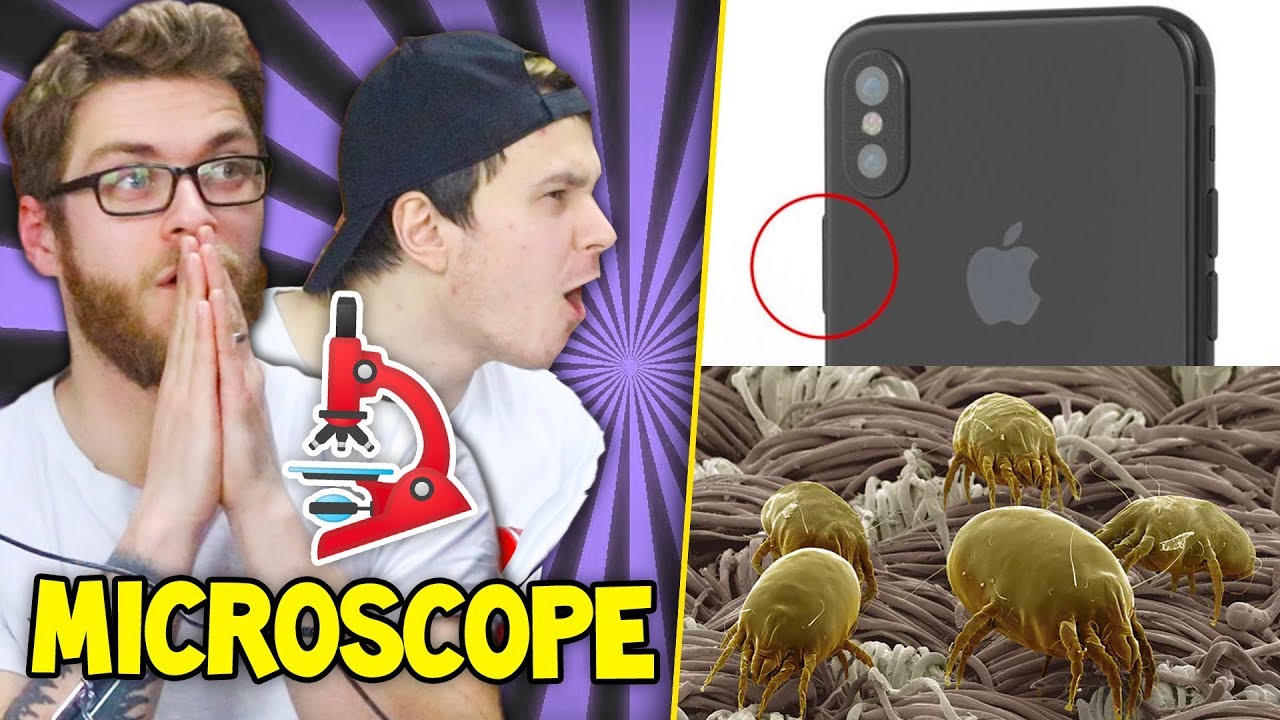Everyday Objects Under The Microscope Shocking Youtube