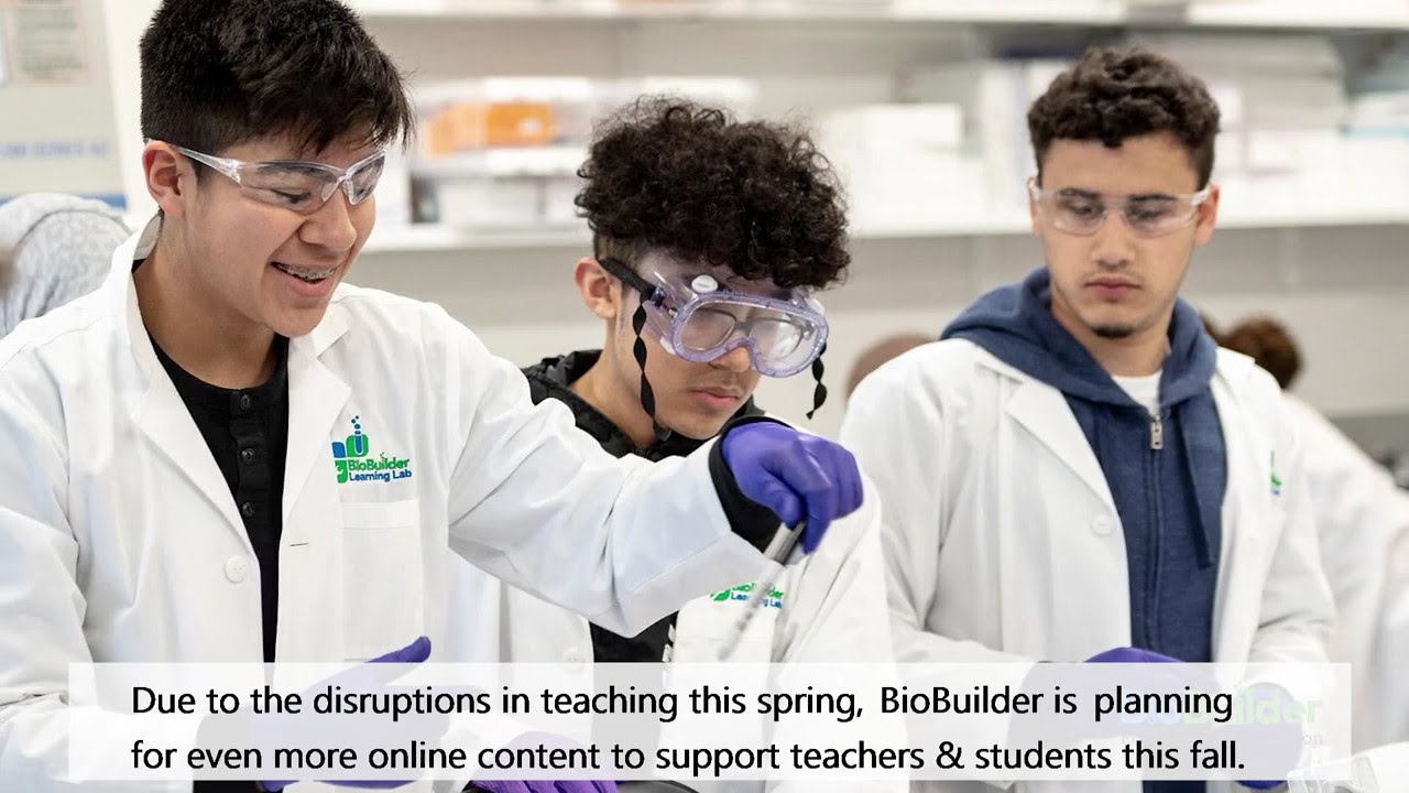Learn Synthetic Biology Biological Engineering With Biobuilder S Stem