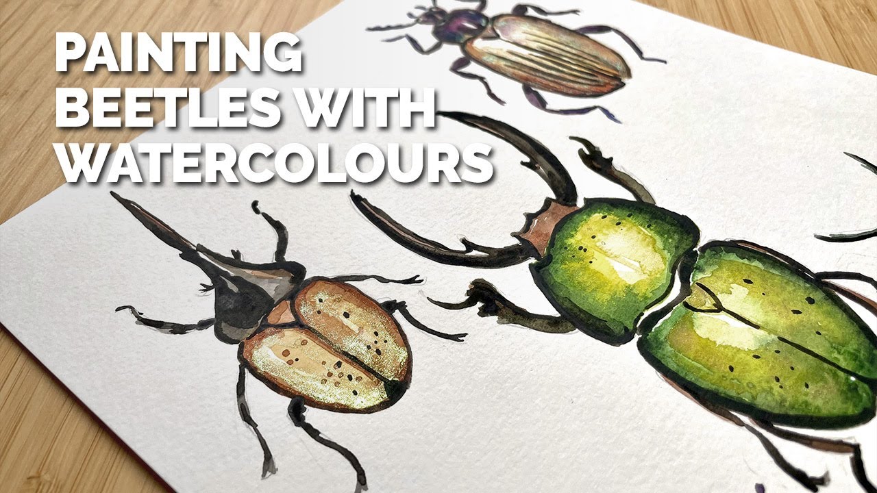 Painting Beetles With Watercolours Youtube