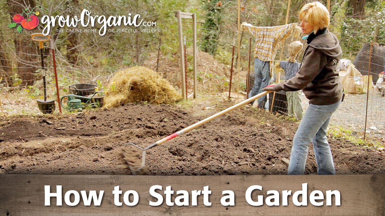 Glory Tips About How To Start A Garden From Scratch Policebaby25