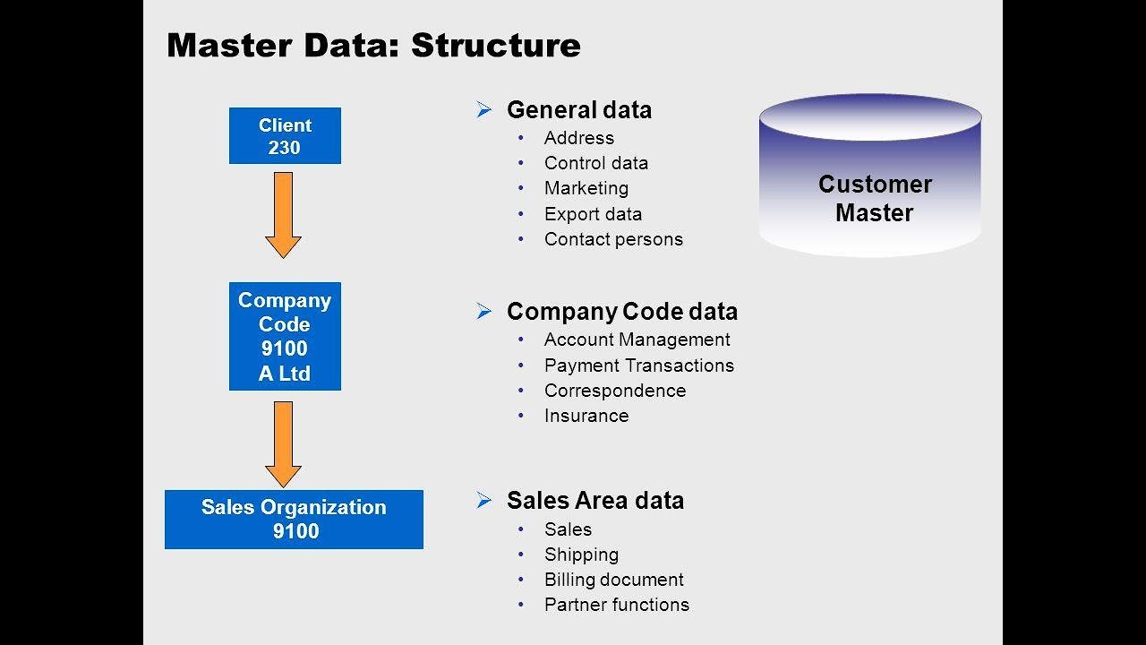 What Is Master Data In Sap Mm Infoupdate Org