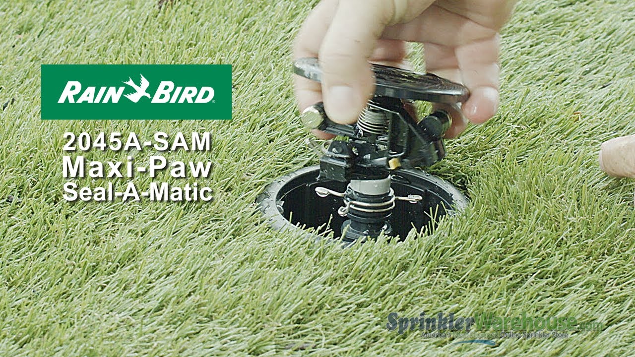 Rain Bird Impact Sprinkler Not Rotating At Thomas Castro Blog
