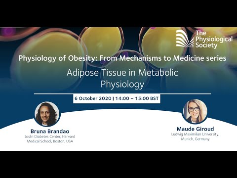 Webinar Adipose Tissue Youtube