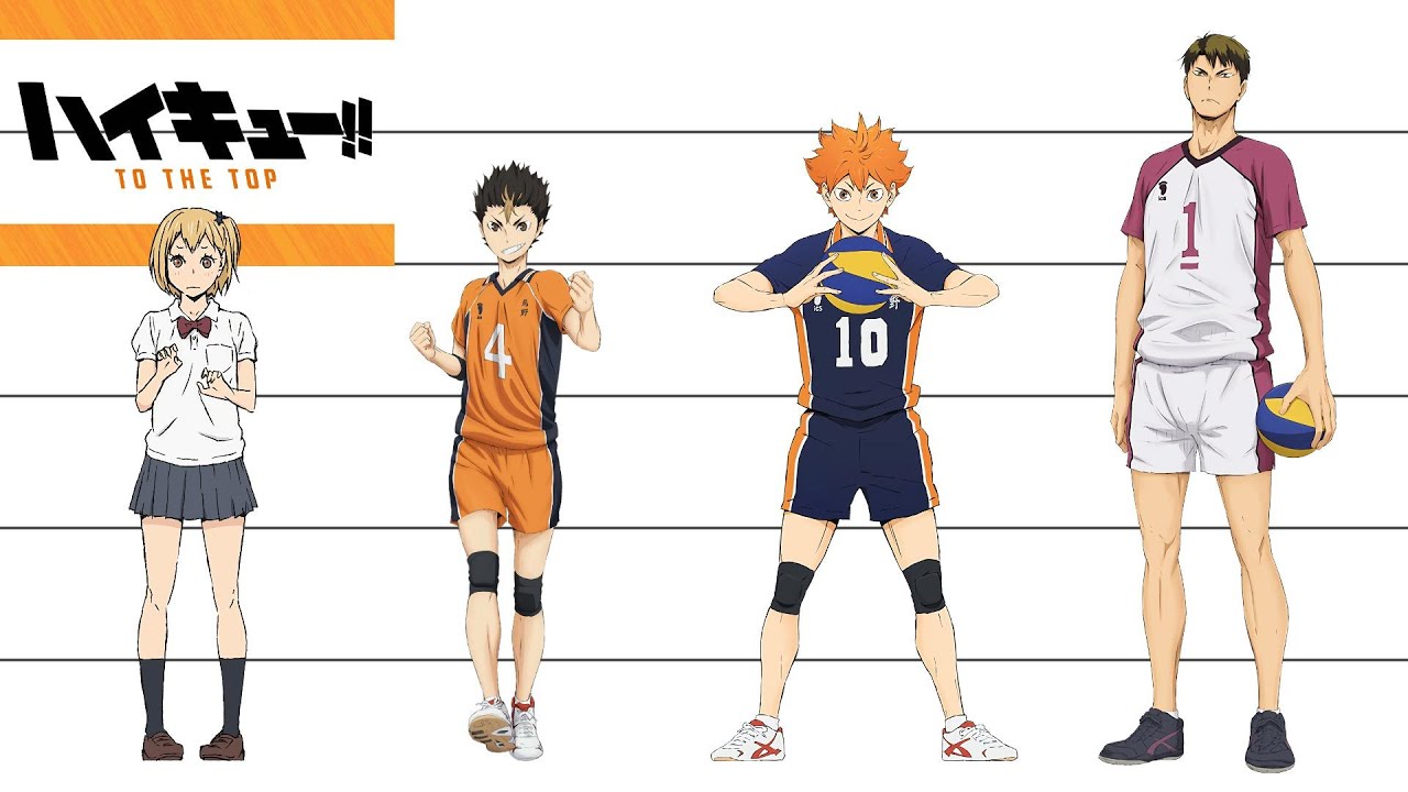 Haikyu Characters Height Comparison Youtube