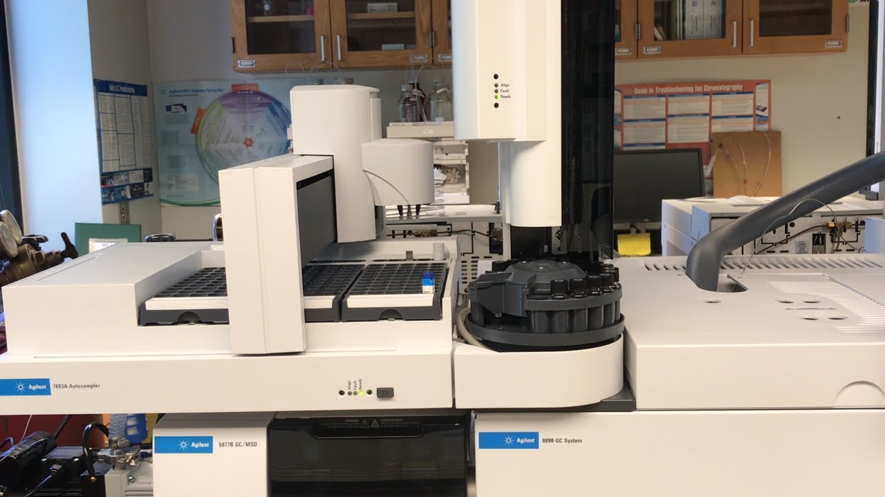 Gc Ms Running A Sample Youtube