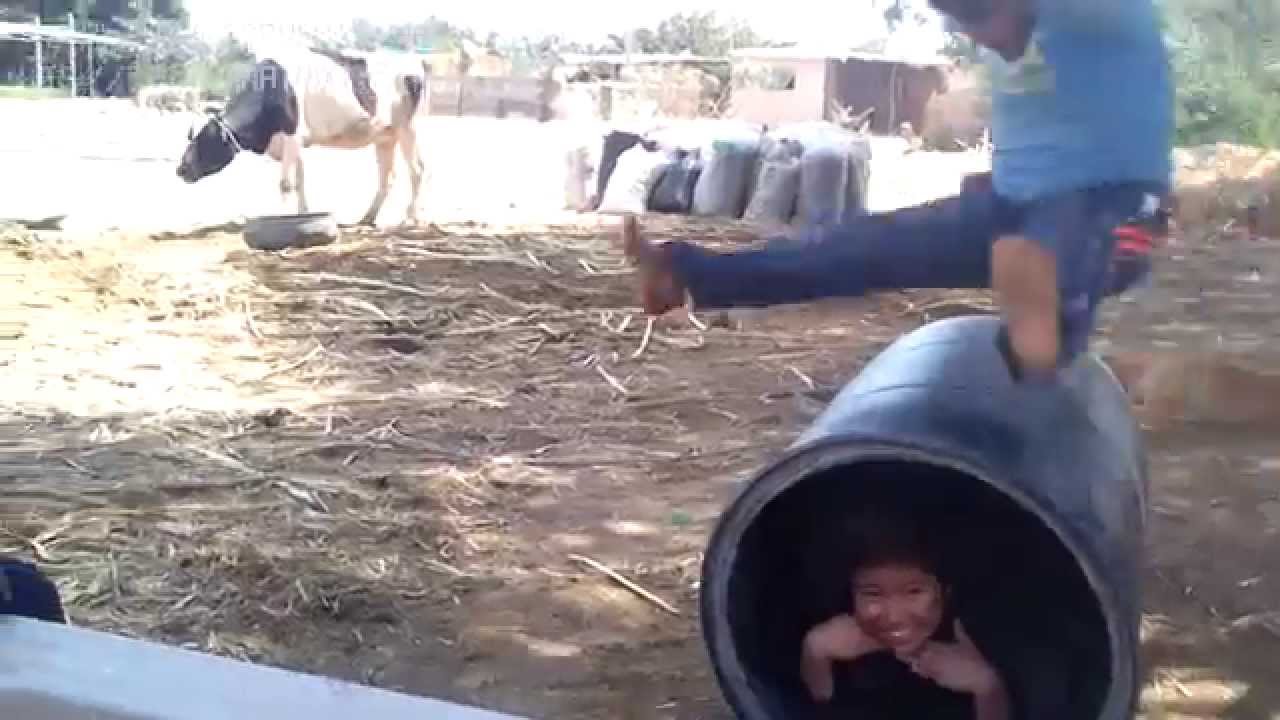 Video Gracioso Youtube