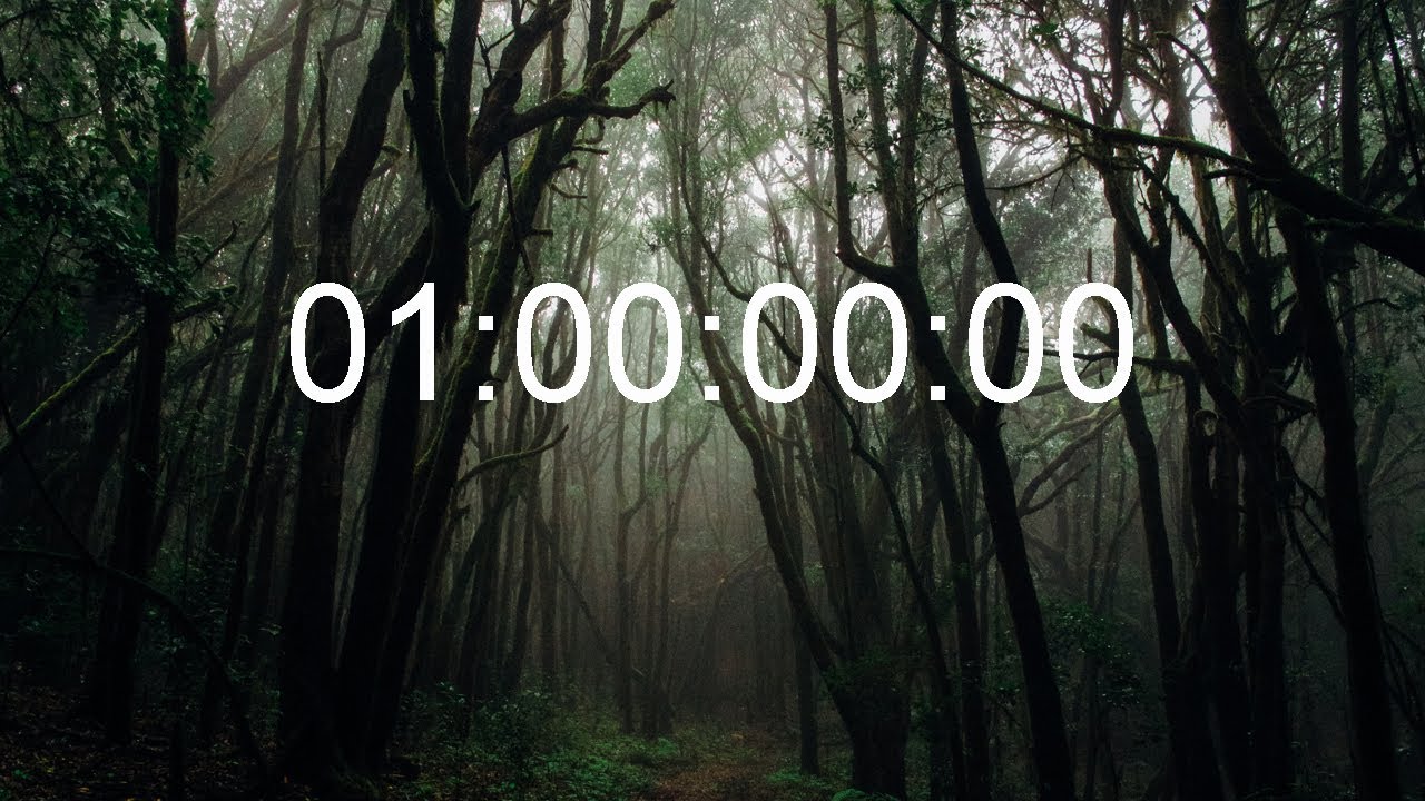 1 Hour Timer Alarm 1080p Countdown Youtube
