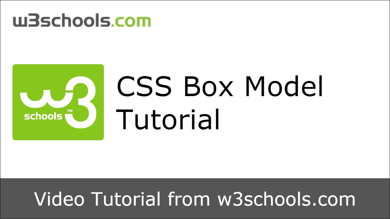 W3schools Css Box Model Tutorial Youtube