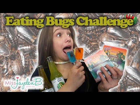 Bug Eating Challenge Youtube
