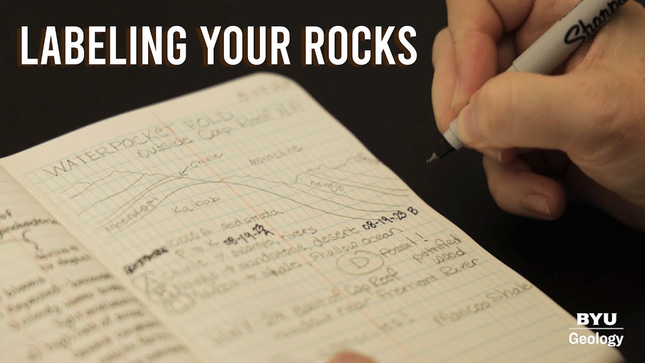 How To Curate Label Your Rock Collection Youtube