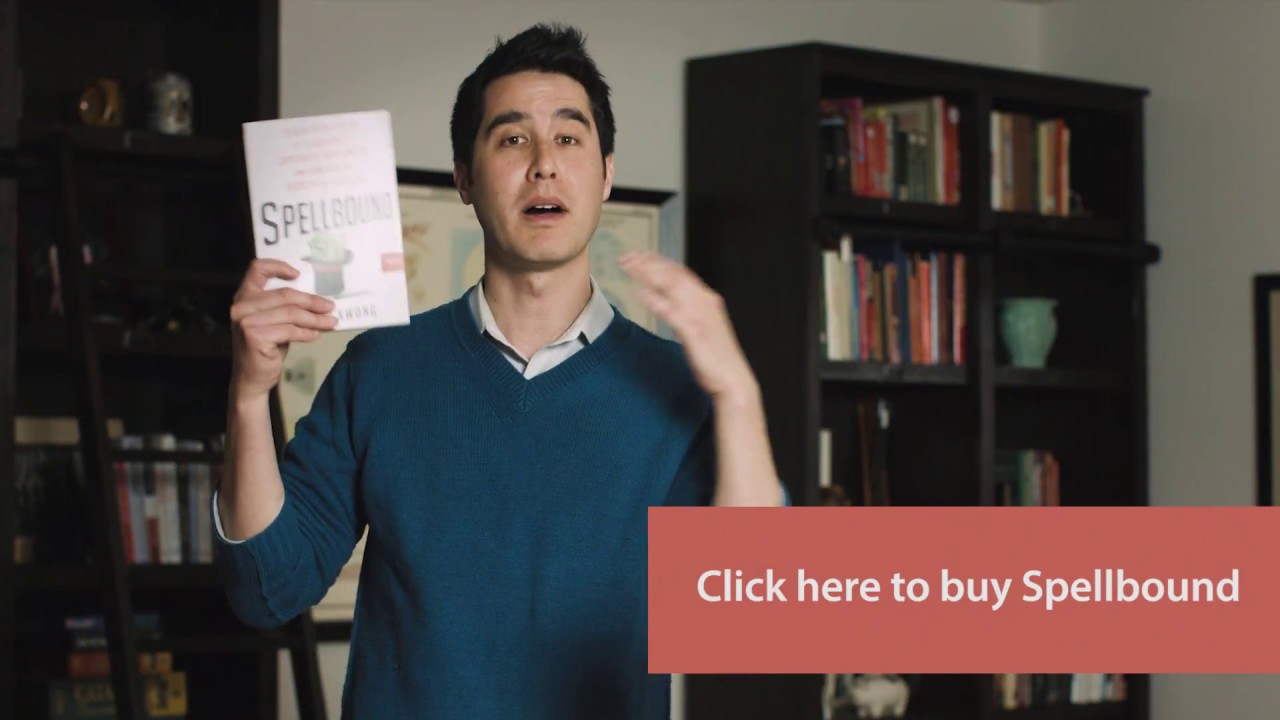 Pattern Recognition Youtube