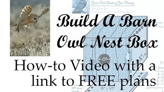 Barn Owl Nest Box Placement Woodworking Challenge