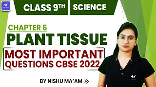Tissue Class 9 Most Important Question Mcq Plant Tissue Class 9 Class 9 ...