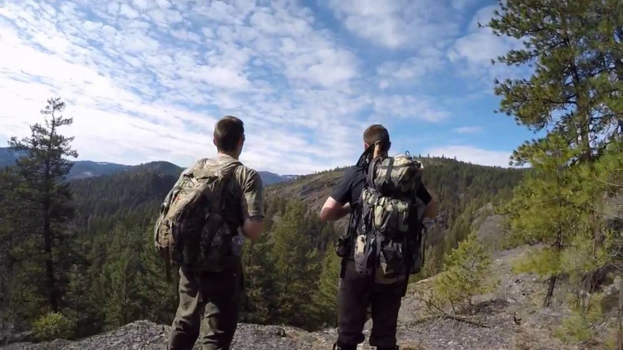 Spring Bear Scouting Trip Youtube