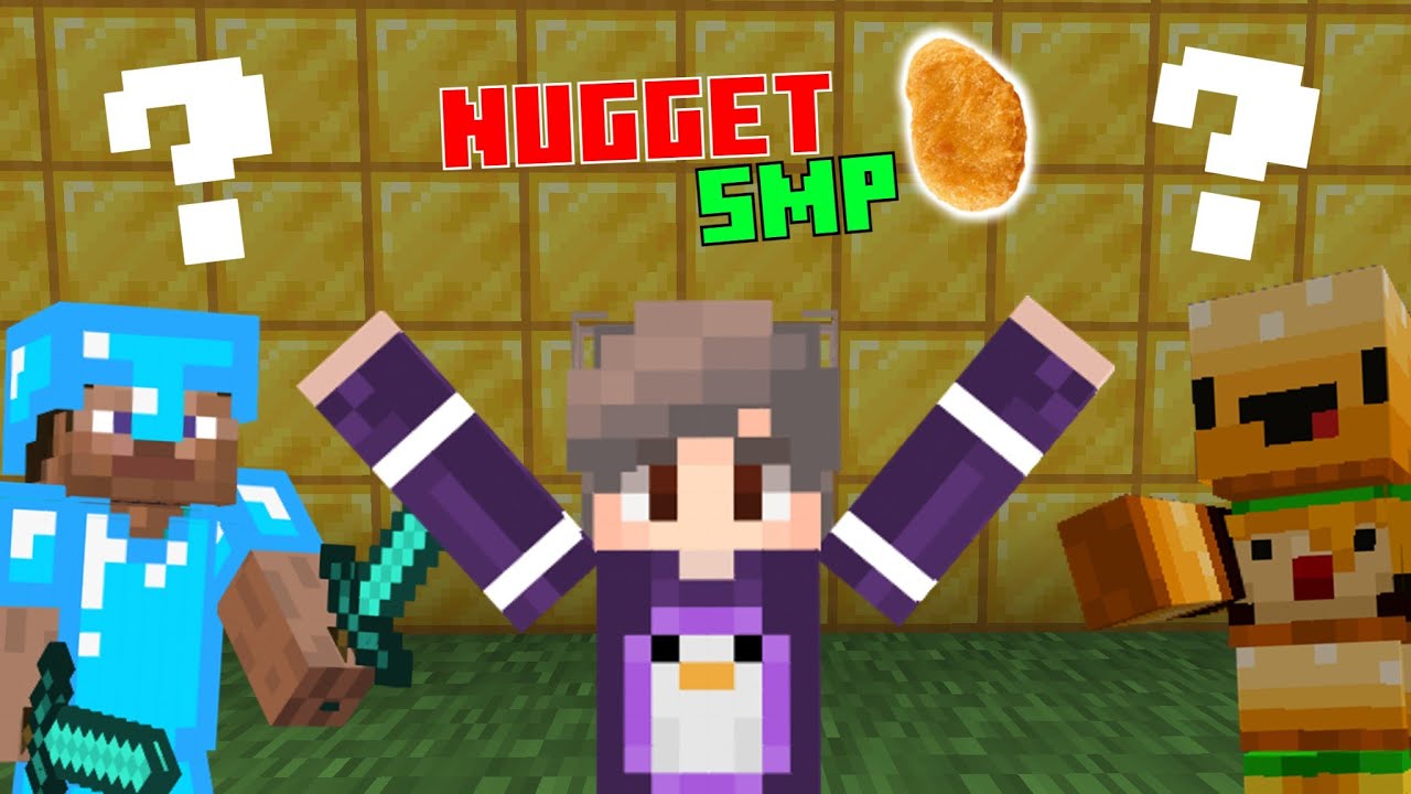 I Joined A Nugget Smp Here S What Happened Youtube