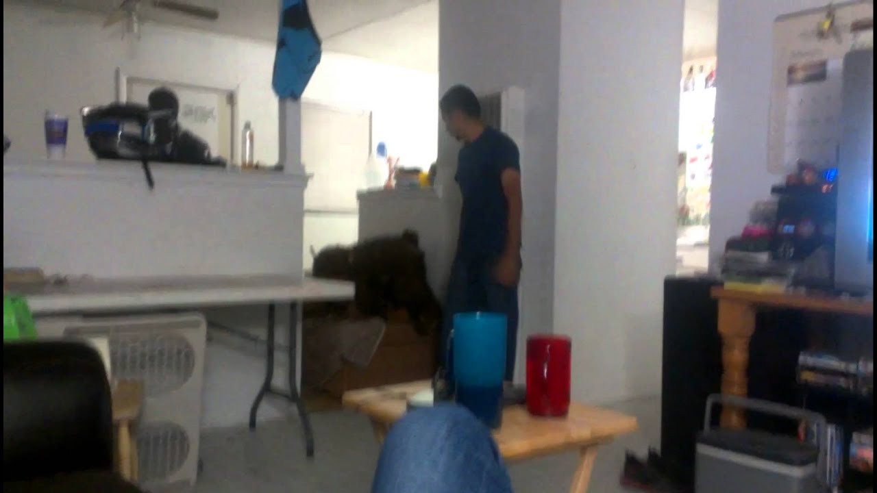 Video0029 Youtube