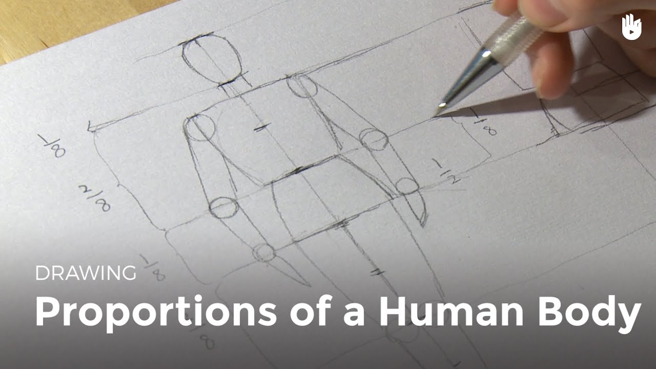 How To Draw Human Proportions Body Proportions Drawing Ctmlae