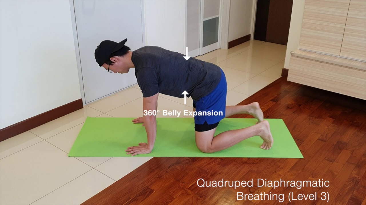 Quadruped Diaphragmatic Breathing Level 3 Youtube