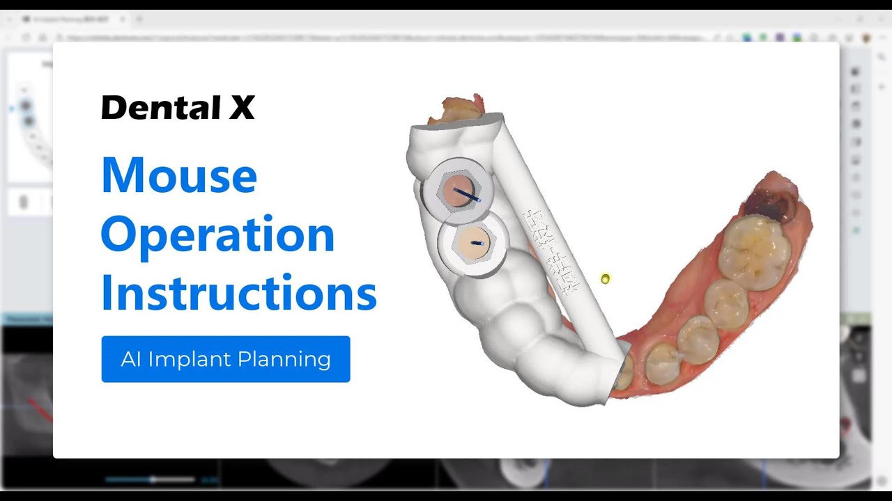 Mouse Operation Instructions Youtube