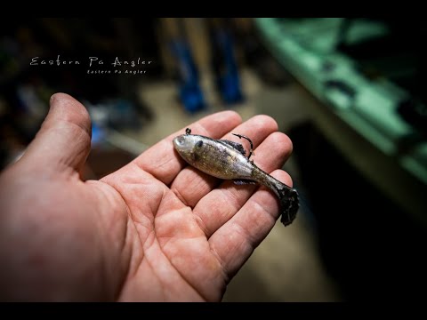 My Review Of The 6th Sense Panorama 3 0 Rigged Swimbait Youtube