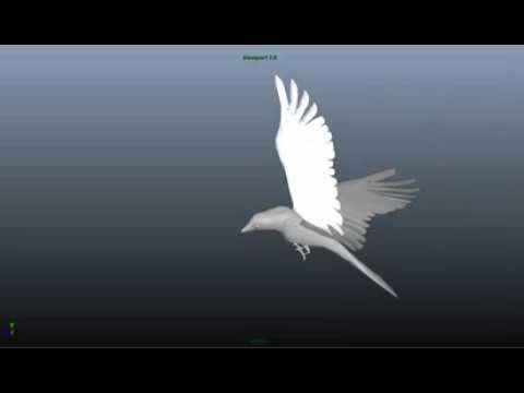 A Bird Flying Animation Youtube