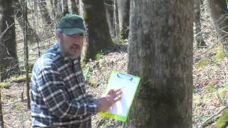 Forest Inventory Part 4 Plot Layout U0026 Inventory Sy Doovi