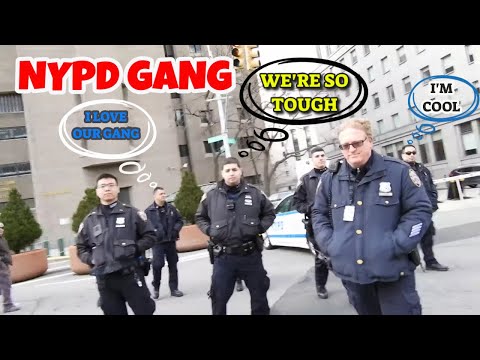 Nypd Cops Getting Owned Youtube