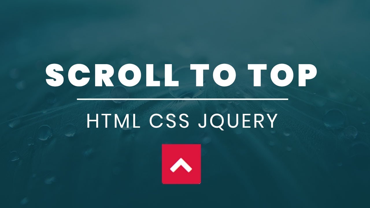 How To Create Scroll To Top Button With Jquery Youtube