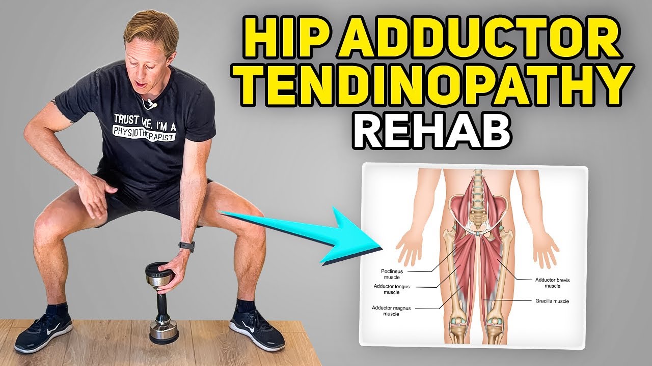 Hip Adductor Injury Rehab Exercises Groin Muscles Youtube
