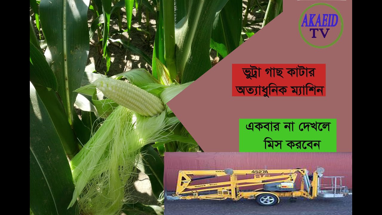 Vutta Kating Mesin Youtube