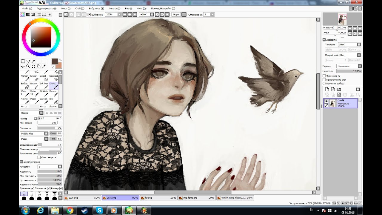 Paint Tool Sai Speedpaint Bird Youtube