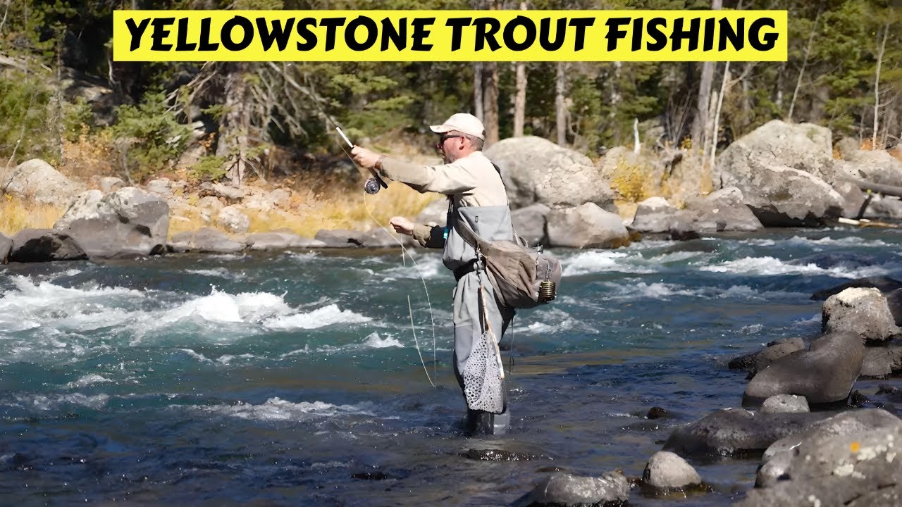 Yellowstone Trout Fishing Idaho Youtube