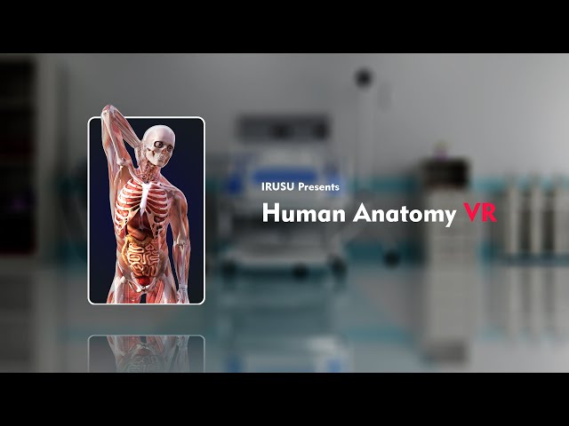 Virtual Human Anatomy