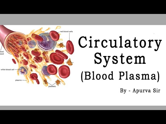 Plasma Circulatory System