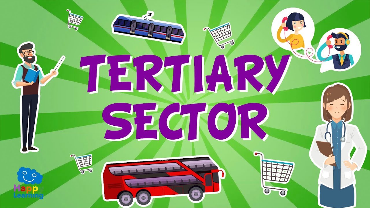The Tertiary Sector Jobs And Their Classification Educational