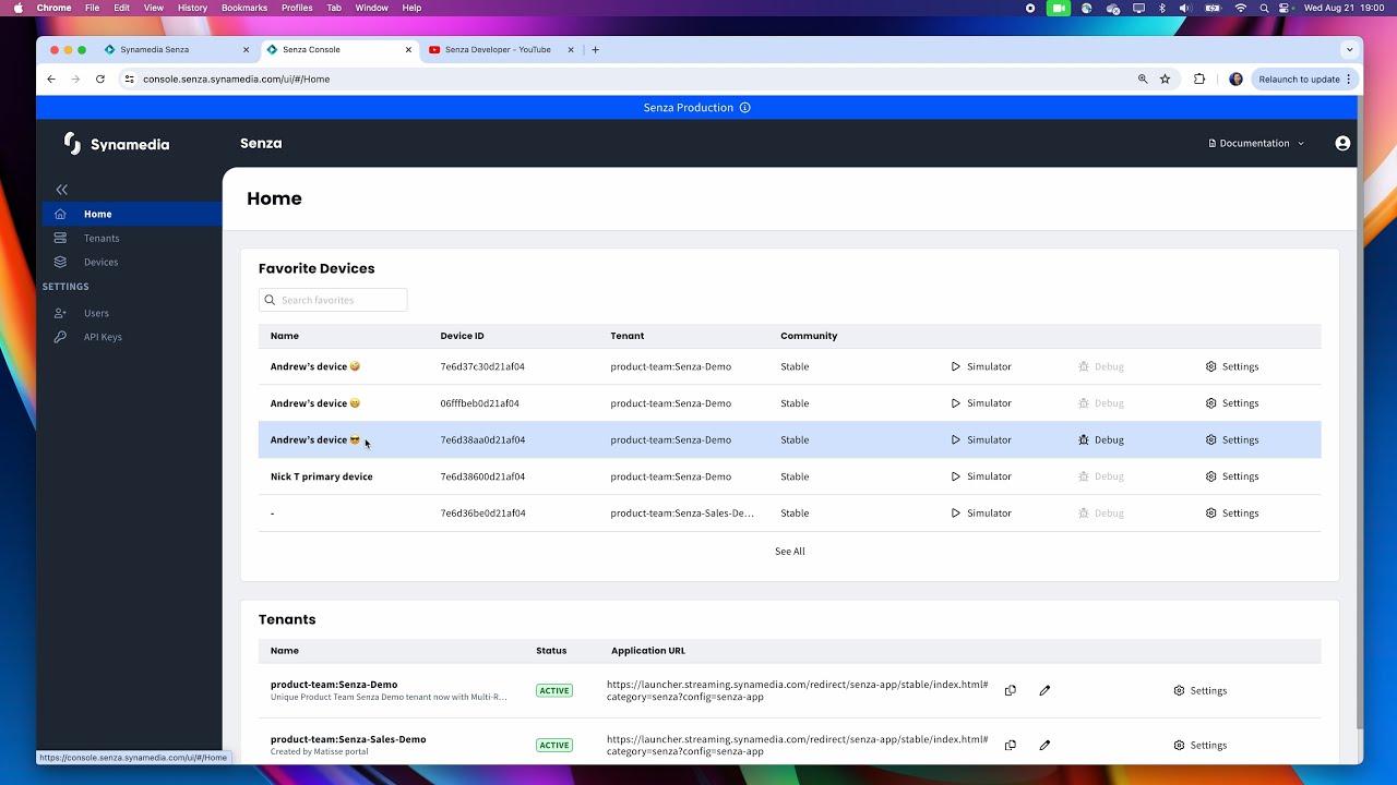 Developer Overview Youtube