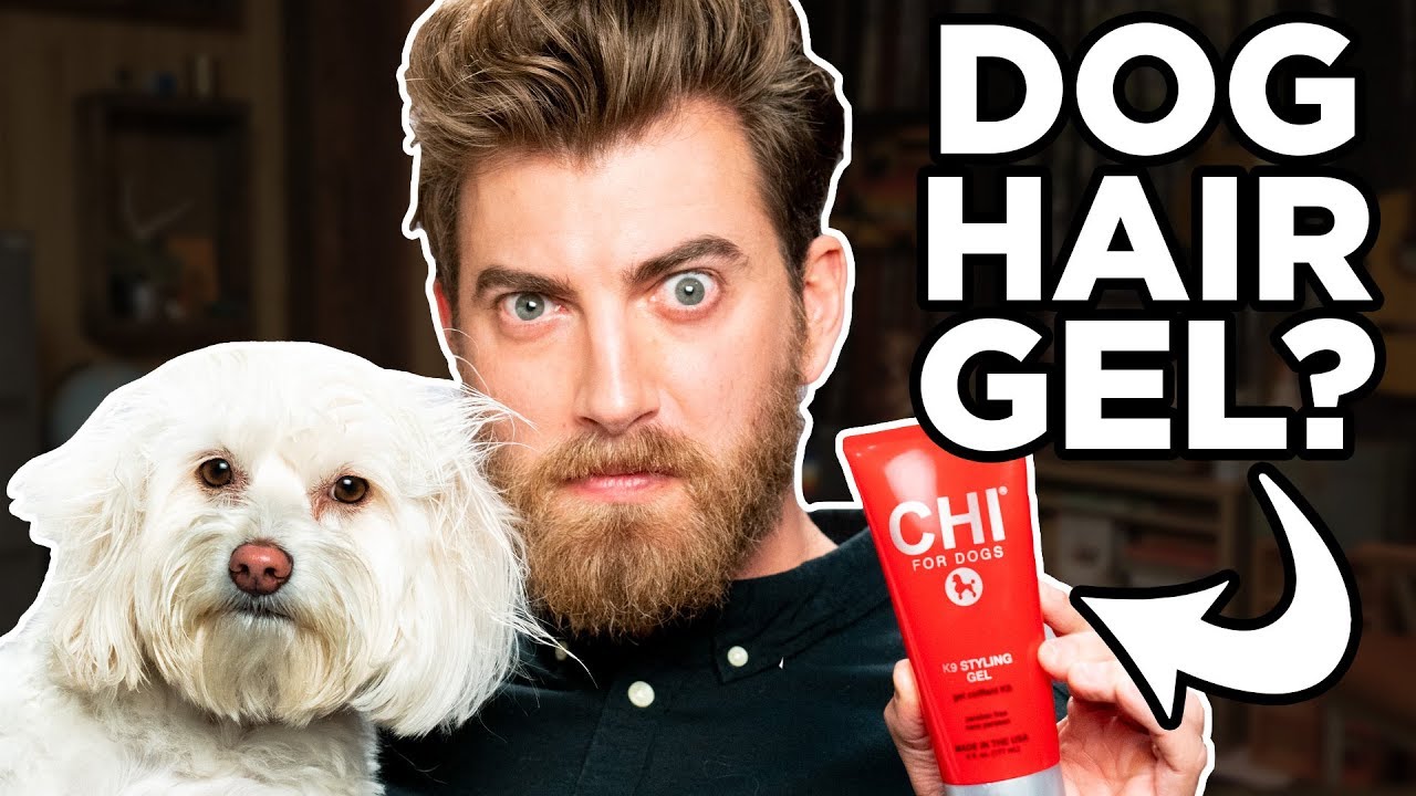 Testing Weird Pet Products Youtube